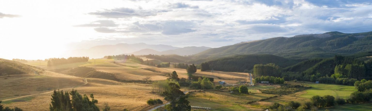 Our Products * Wairiri Buffalo